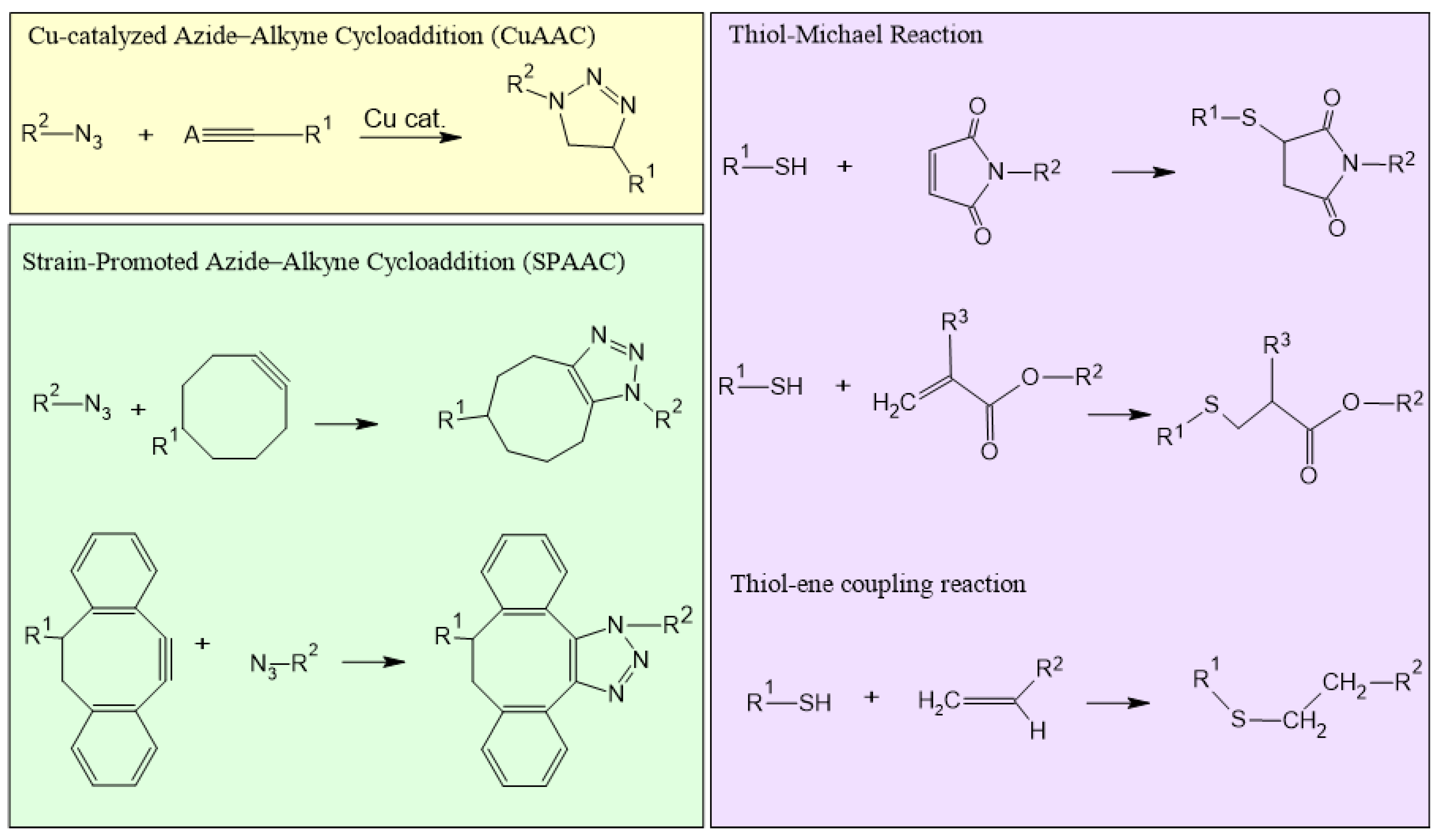 Nanogels: Recent Advances in Synthesis and Biomedical Applications