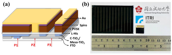 Large-Area Perovskite Solar Module Produced by Introducing Self ...