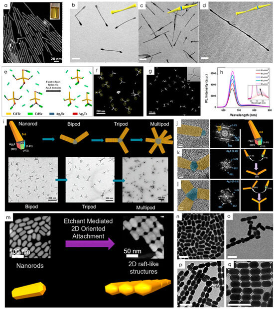 Recent Advances in Research from Nanoparticle to Nano-Assembly: A Review