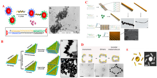 Recent Advances in Research from Nanoparticle to Nano-Assembly: A Review
