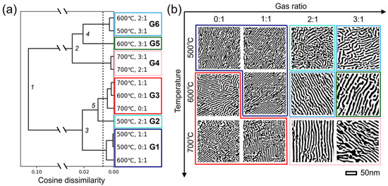Interpretable Structural Evaluation of Metal-Oxide Nanostructures in Scanning Transmission ...