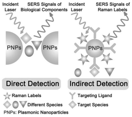 Development and Application of Surface-Enhanced Raman Scattering (SERS)