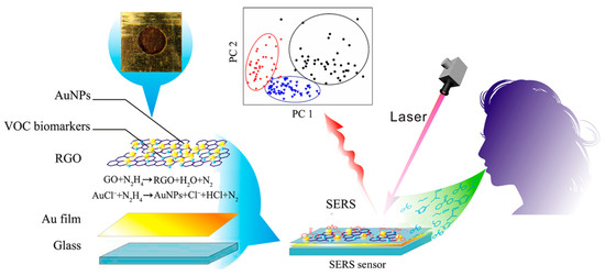 Development and Application of Surface-Enhanced Raman Scattering (SERS)