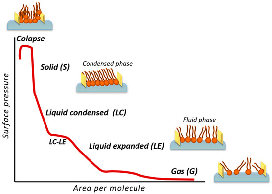 Advancements in Engineering Planar Model Cell Membranes Advancements in Engineering Planar Model Cell Membranes