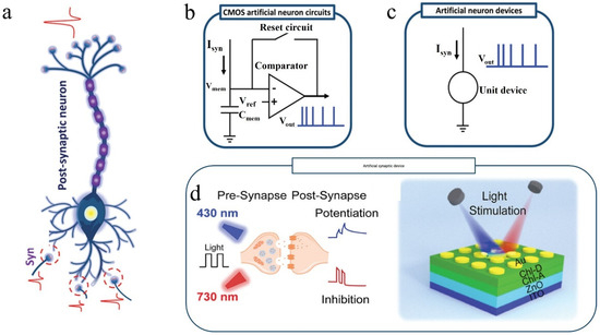 Optical Bio-Inspired Synaptic Devices