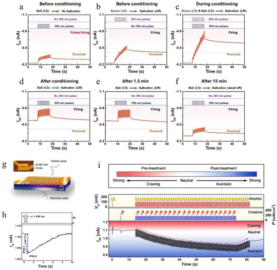Optical Bio-Inspired Synaptic Devices