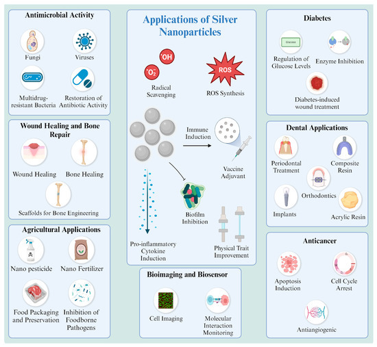 Silver Nanoparticles in Therapeutics and Beyond: A Review of Mechanism Insights and Applications