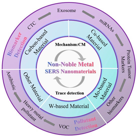 Development and Biomedical Application of Non-Noble Metal Nanomaterials in SERS