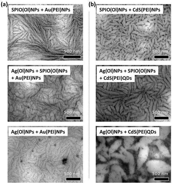 Versatility of the Templated Surface Assembly of Nanoparticles from ...