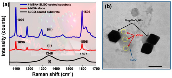 Recent Progress in Nanomaterial-Based Surface-Enhanced Raman ...