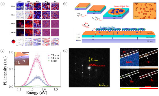Recent Progress in Two-Dimensional Magnetic Materials
