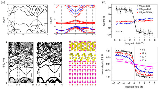 Recent Progress in Two-Dimensional Magnetic Materials