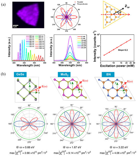 Recent Progress in Two-Dimensional Magnetic Materials