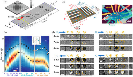 Recent Progress in Two-Dimensional Magnetic Materials