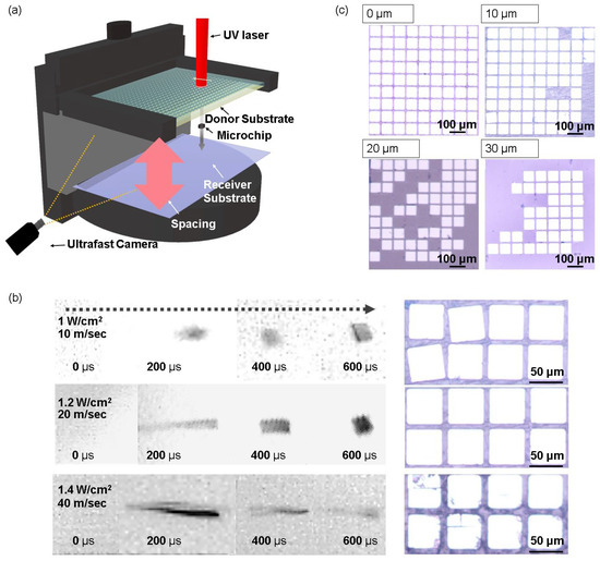 Dynamics of Blister Actuation in Laser-Induced Forward Transfer for ...