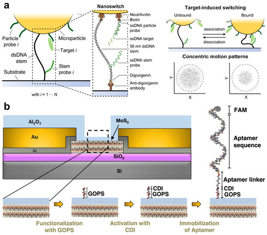 Surface-Functionalizing Strategies for Multiplexed Molecular Biosensing ...