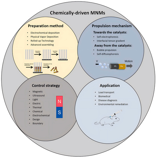 A Lifetime of Catalytic Micro-/Nanomotors