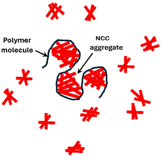 Influence of Added Cellulose Nanocrystals on the Rheology of Polymers