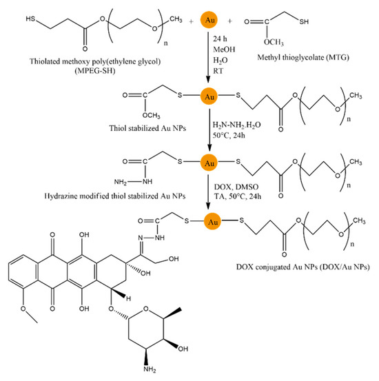 Doxorubicin-Conjugated Nanoparticles for Potential Use as Drug Delivery ...