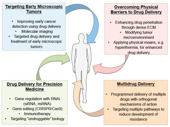 Magnetic Nanoparticles and Drug Delivery Systems for Anti-Cancer ...