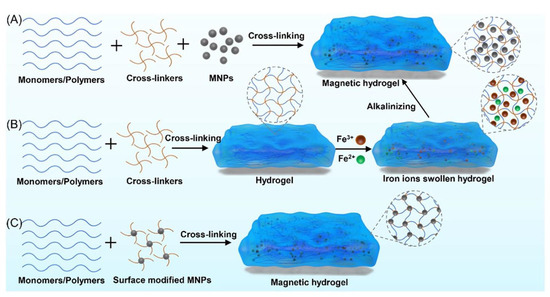 Magnetic Nanoparticles and Drug Delivery Systems for Anti-Cancer ...