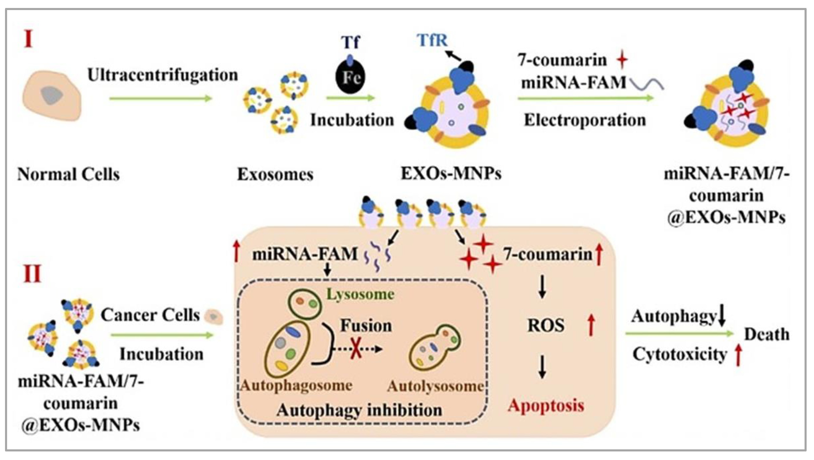Magnetic Nanoparticles and Drug Delivery Systems for Anti-Cancer ...