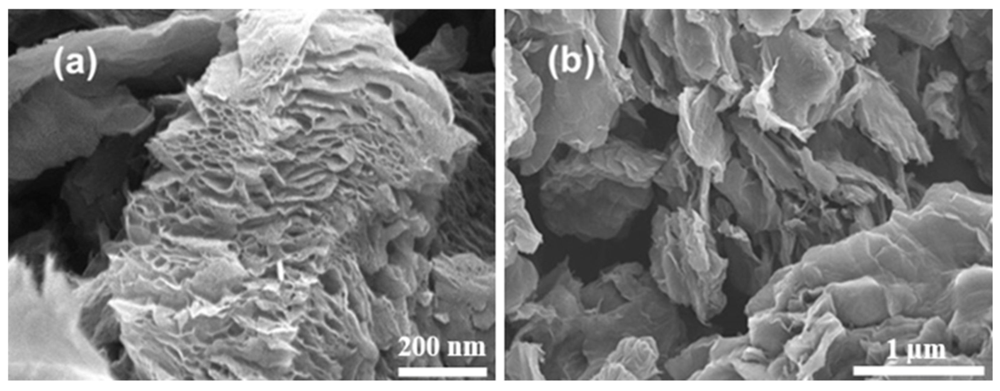 Development of Superhydrophobic Reduced Graphene Oxide (rGO) for ...