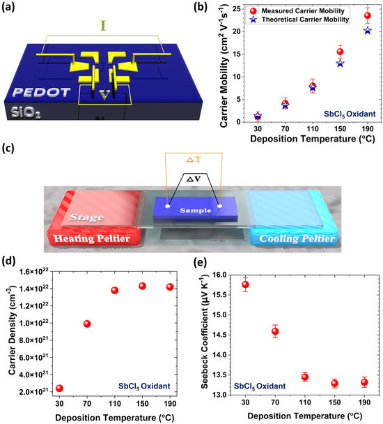 Fabrication of Conjugated Conducting Polymers by Chemical Vapor ...