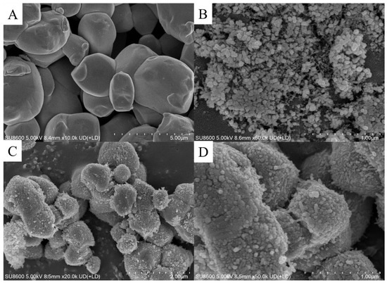 Enhancing Visible-Light Photocatalytic Activity of AgCl Photocatalyst ...