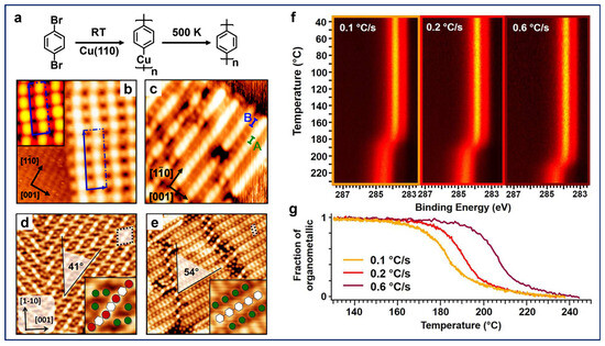 On-Surface Ullmann-Type Coupling Reactions of Aryl Halide Precursors ...