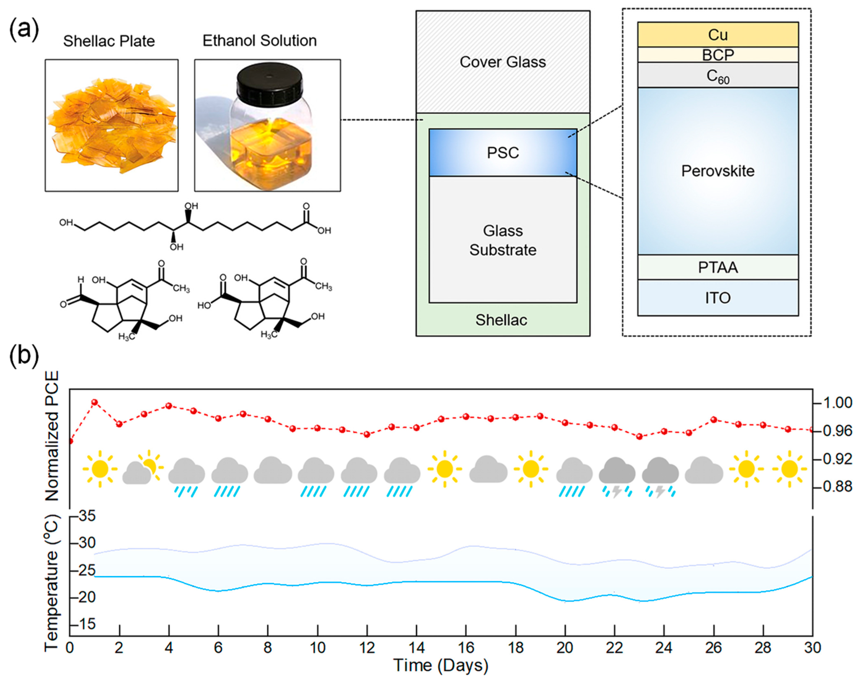 Photostability of Perovskite Solar Cells: Challenges and Strategies