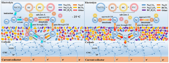 Solvation Structure and Interface Engineering Synergy in Low ...