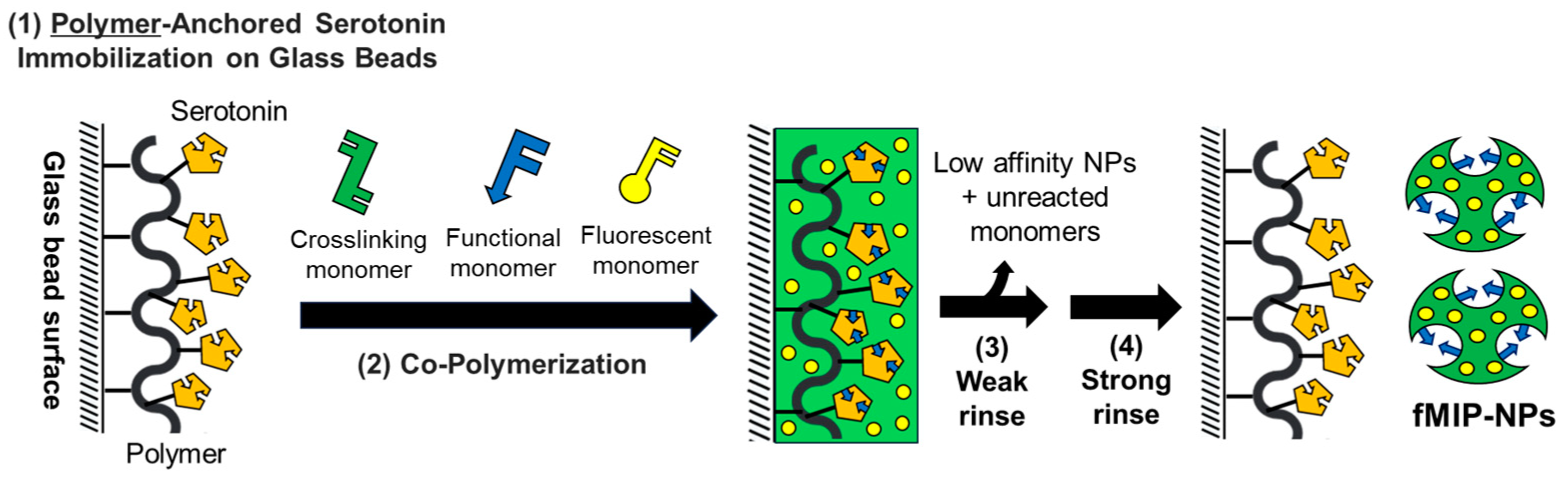 A Poly(methacrolein-co-methacrylamide)-Based Template Anchoring Strategy for the Synthesis of ...