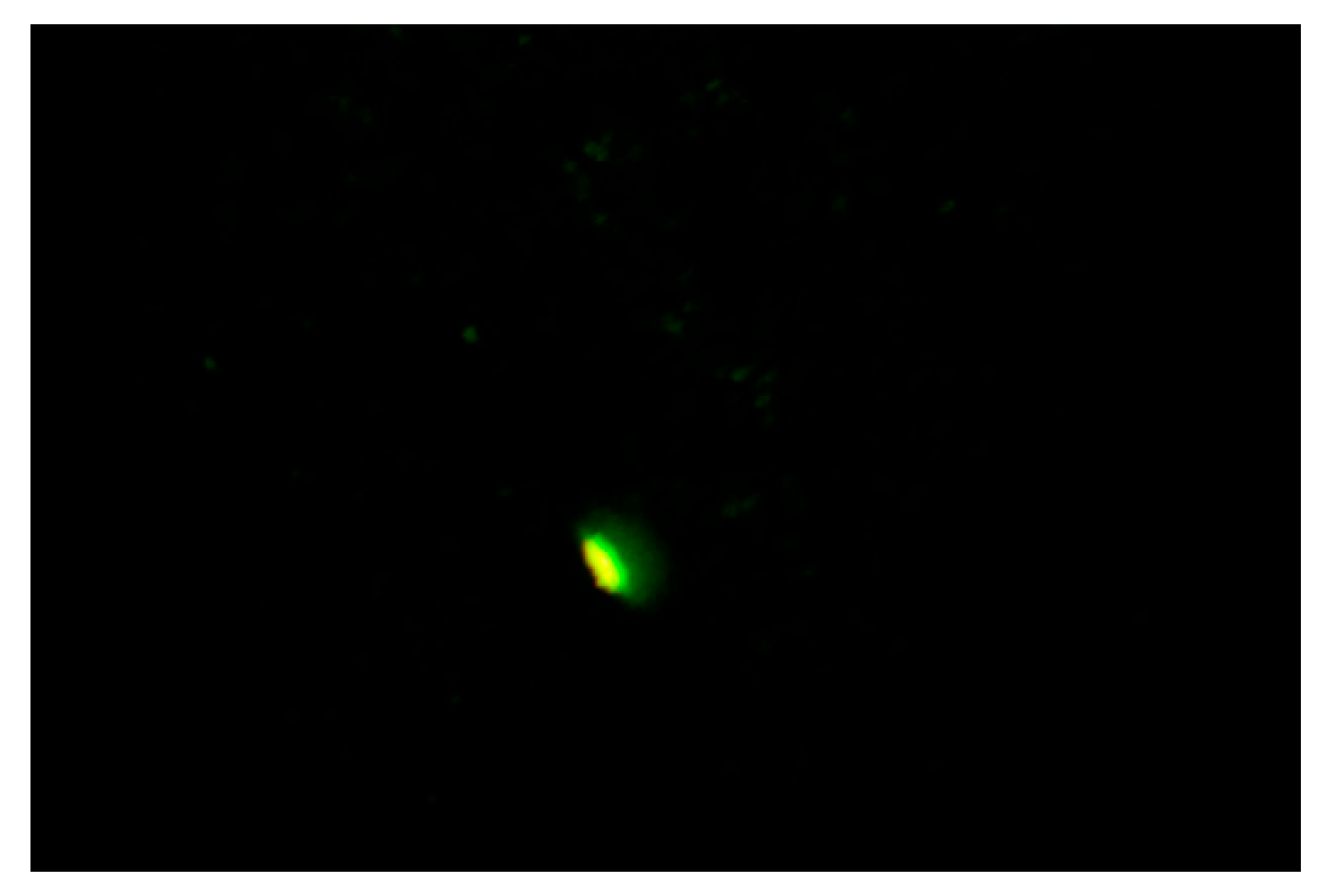 Improving the Detection Accuracy of Subsurface Damage in Optical Materials by Exploiting the ...