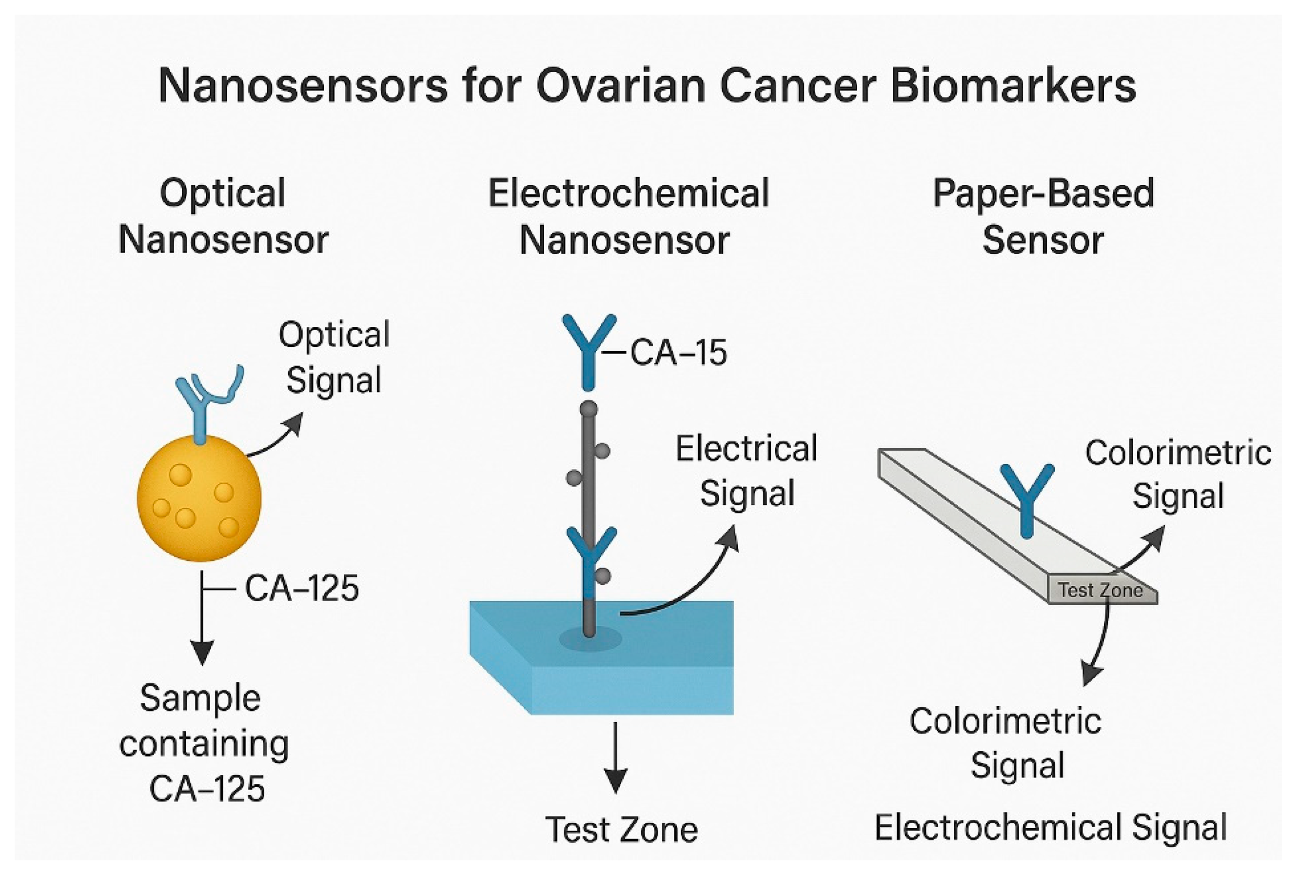 Applications of Nanoparticles in the Diagnosis and Treatment of Ovarian ...