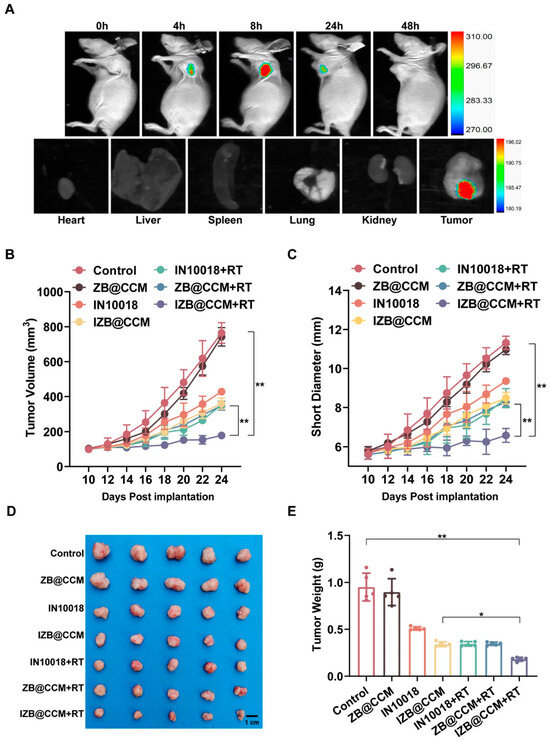 Advancements in Tumor-Targeted Nanoparticles: Design Strategies and ...