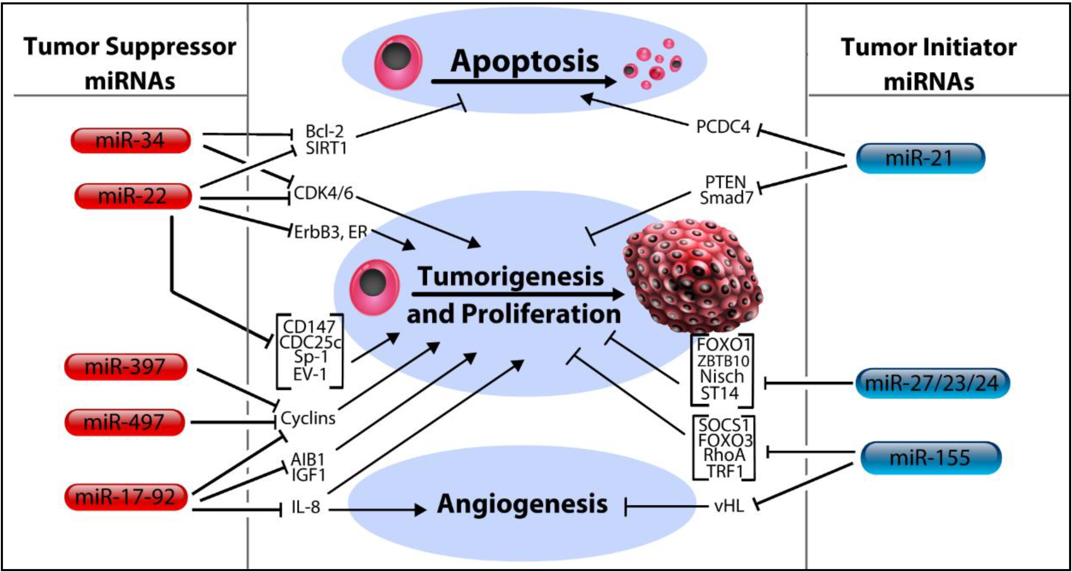 Ncrna Free Full Text Microrna And Breast Cancer Understanding