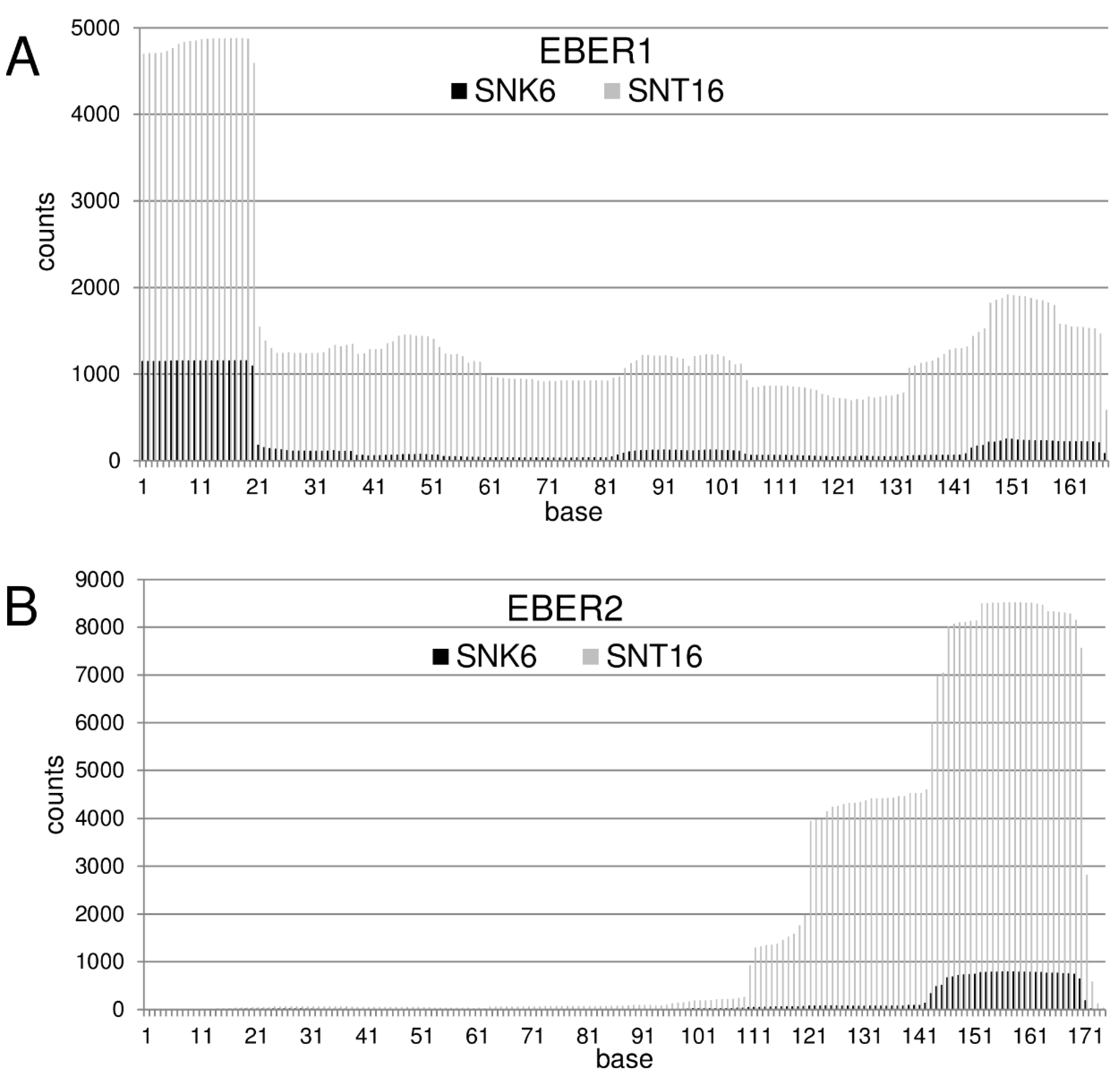 Epstein-Barr Virus EBER Transcripts Affect miRNA-Mediated Regulation of ...