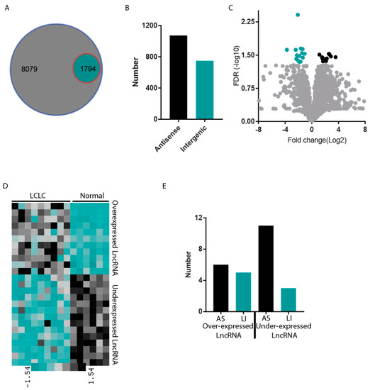 Unravelling the Long Non-Coding RNA Profile of Undifferentiated Large ...