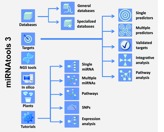 ncRNA | Free Full-Text | miRNAtools: Advanced Training Using the miRNA ...