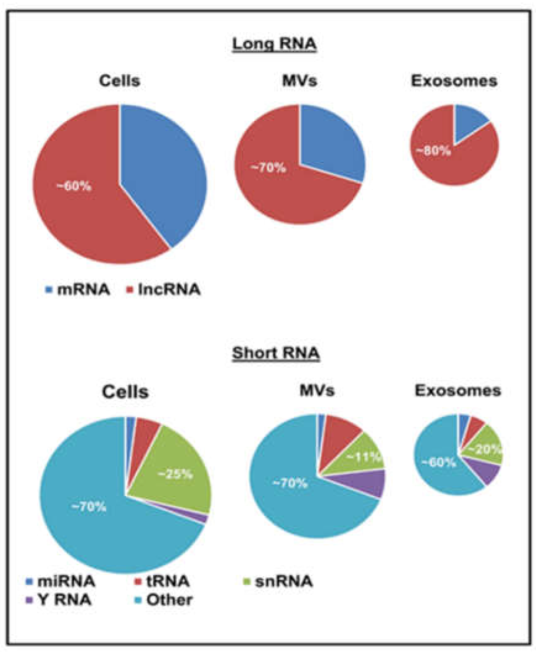 ncRNA | Free Full-Text | Extracellular Vesicles as Conduits of Non-Coding RNA Emission and ...