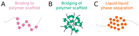 ncRNA | Free Full-Text | Evidence for and against Liquid-Liquid Phase ...