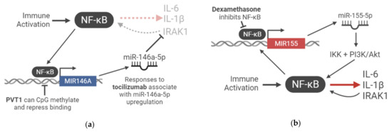 Non-Coding RNAs in COVID-19: Emerging Insights and Current Questions