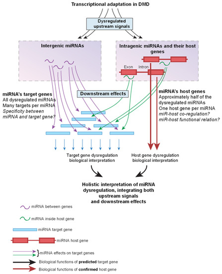 Non-Coding RNA | An Open Access Journal from MDPI