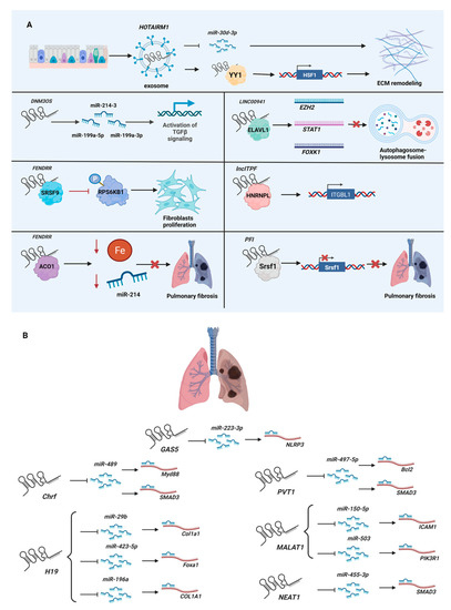 Non-Coding RNA | An Open Access Journal from MDPI