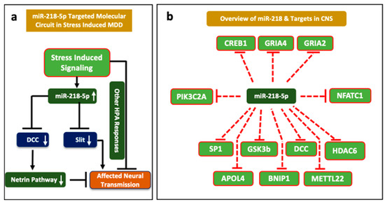 Non-Coding RNA | An Open Access Journal from MDPI