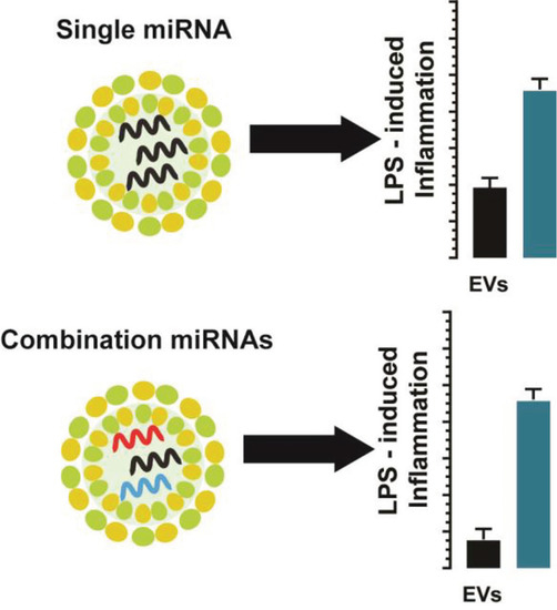 Non-Coding RNA | An Open Access Journal from MDPI