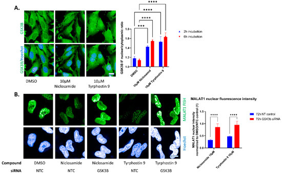 High Throughput FISH Screening Identifies Small Molecules That Modulate ...