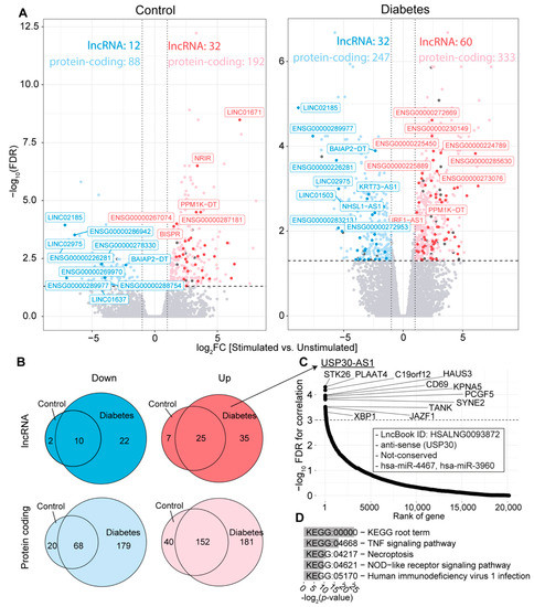 ncRNA | Free Full-Text | T2DB: A Web Database for Long Non-Coding RNA ...