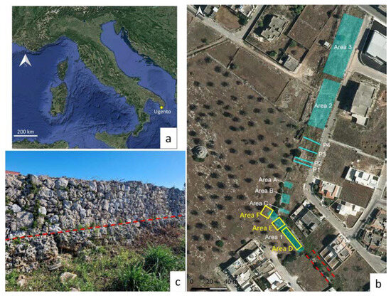 Geophysical Surveys to Highlight Buried Ancient Walls of Ugento (Lecce ...